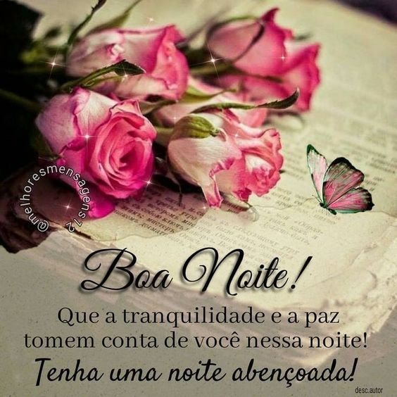 20 Mensagens De Boa Noite Com Flores