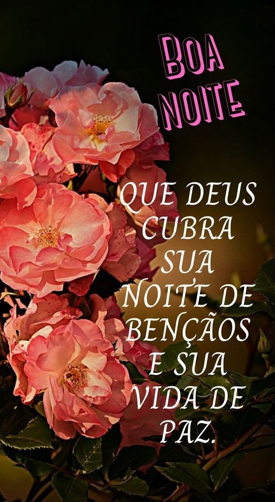30 Mensagens De Boa Noite Para Whatsapp
